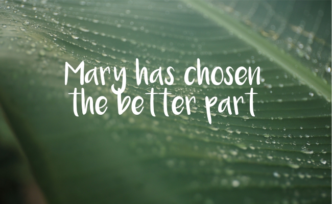 Mary, Martha, and the Beauty in the Small… | Cassidy's Commentary